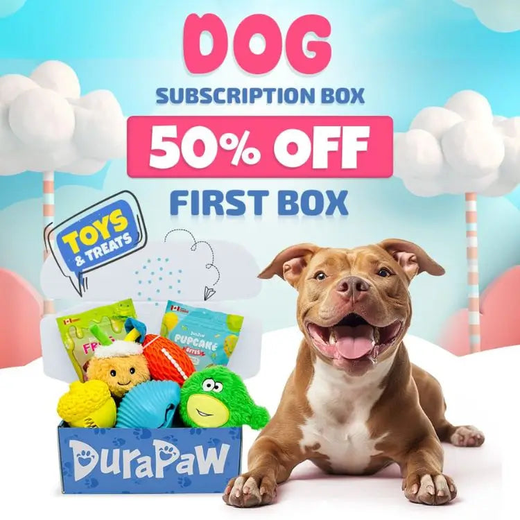 DuraPaw Box - Premium Monthly Dog Subscription Box in Canada