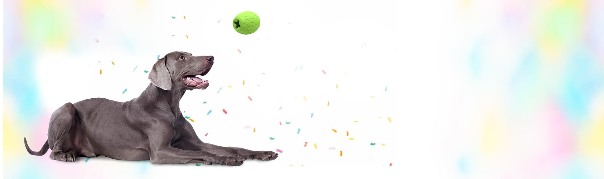 DuraPaw - Giveaways | Dog Box Giveaways as seen on Instagram!