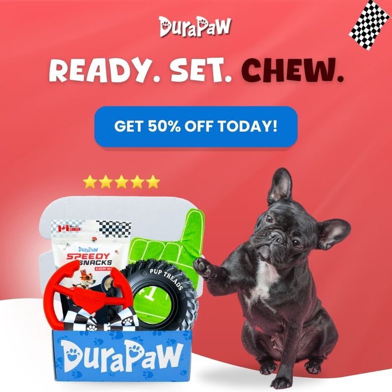 Pup Cup Racing Dog Subscription Box Theme