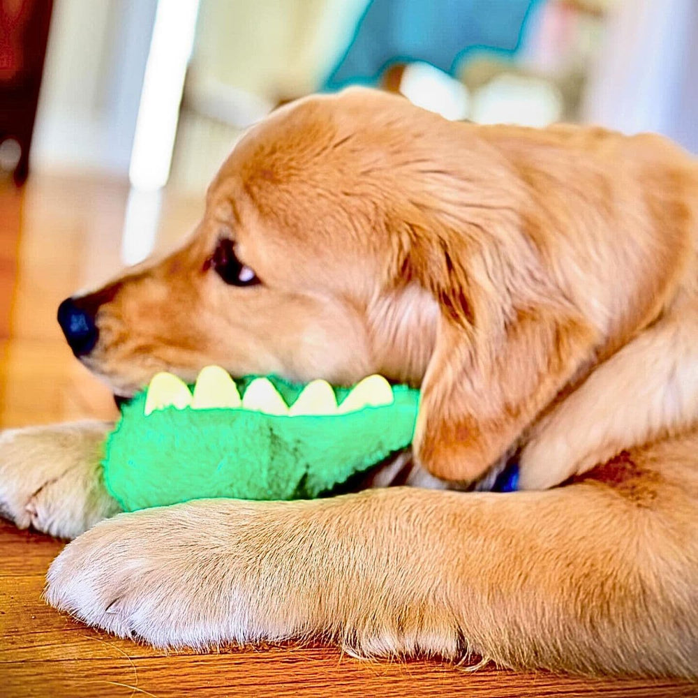 Design Your Own 2 in 1 Dog Toy
