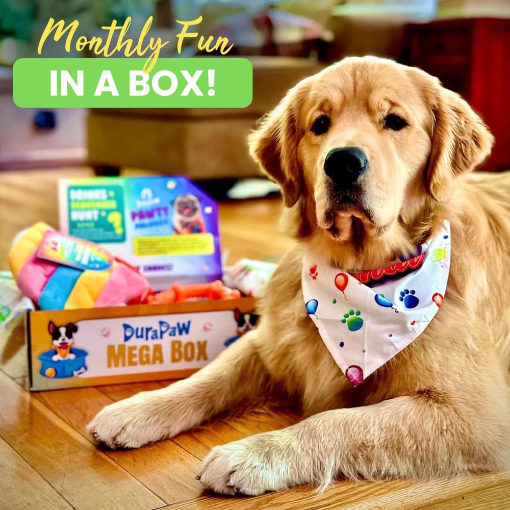 12 Month Plan - Multi Dog Subscription Box for Multiple Dogs